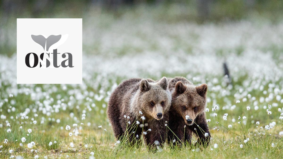 OSTA — Dierenatlas